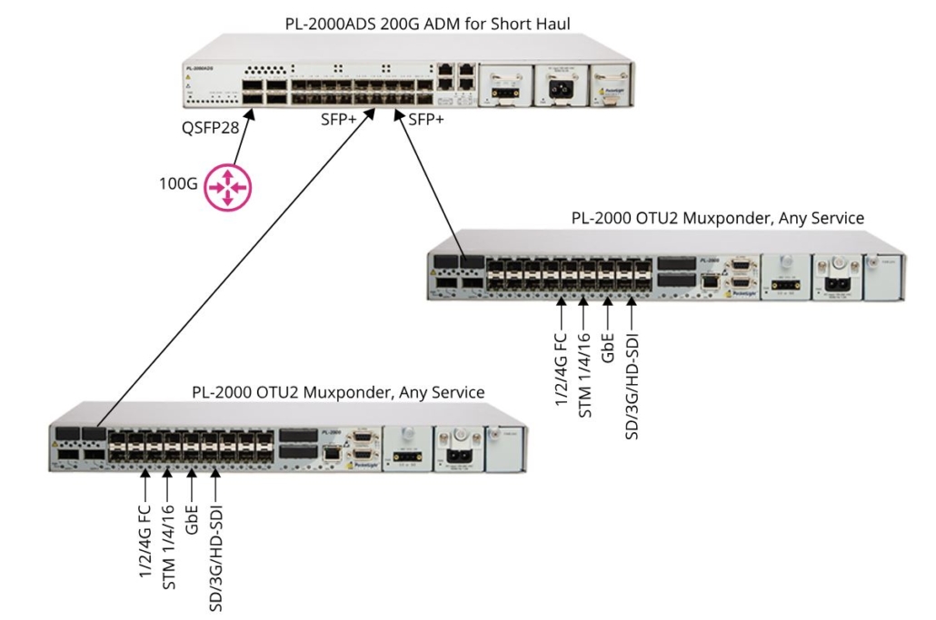 100G OTU4 Solution | PacketLight